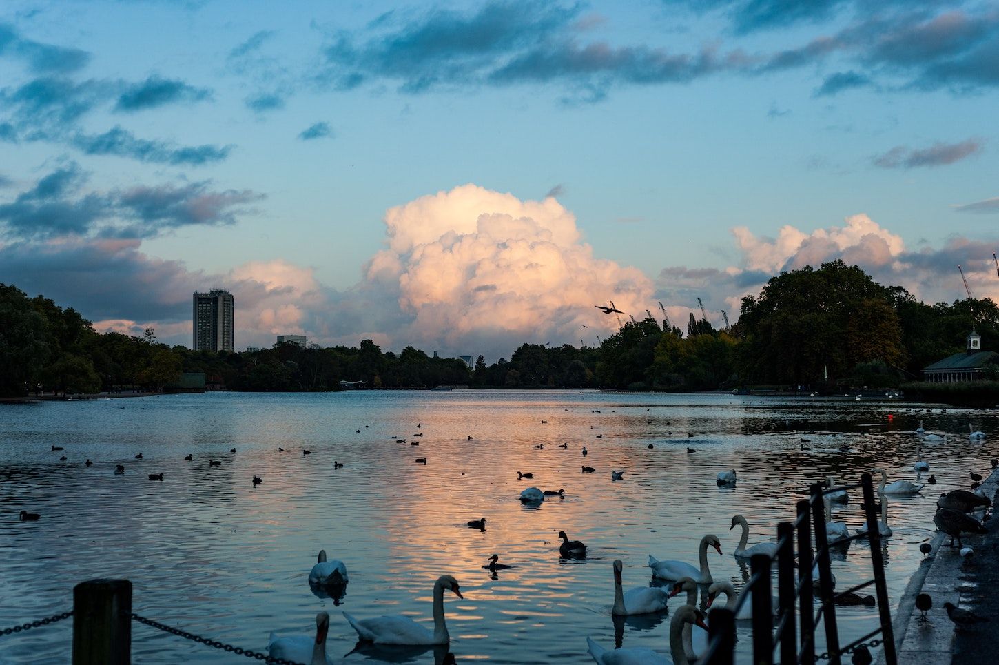 10 of London's best parks | Collegiate Student News