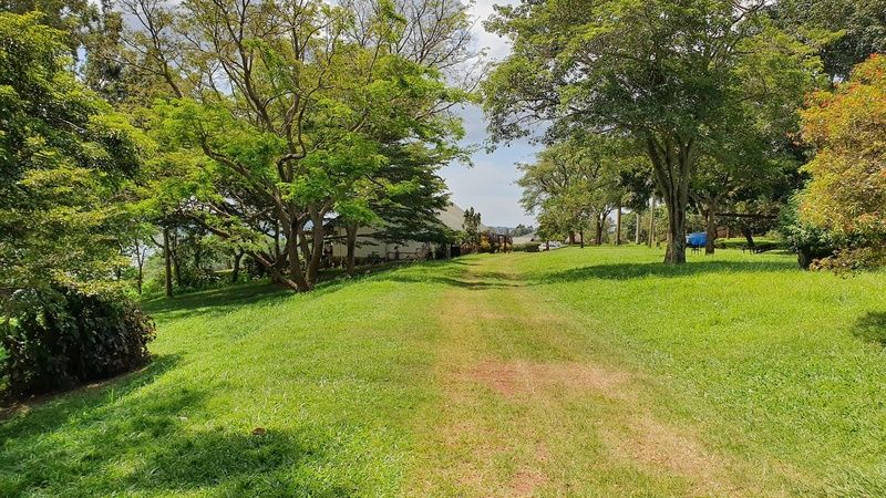 5 of the best parks in Nottingham | Collegiate Student News