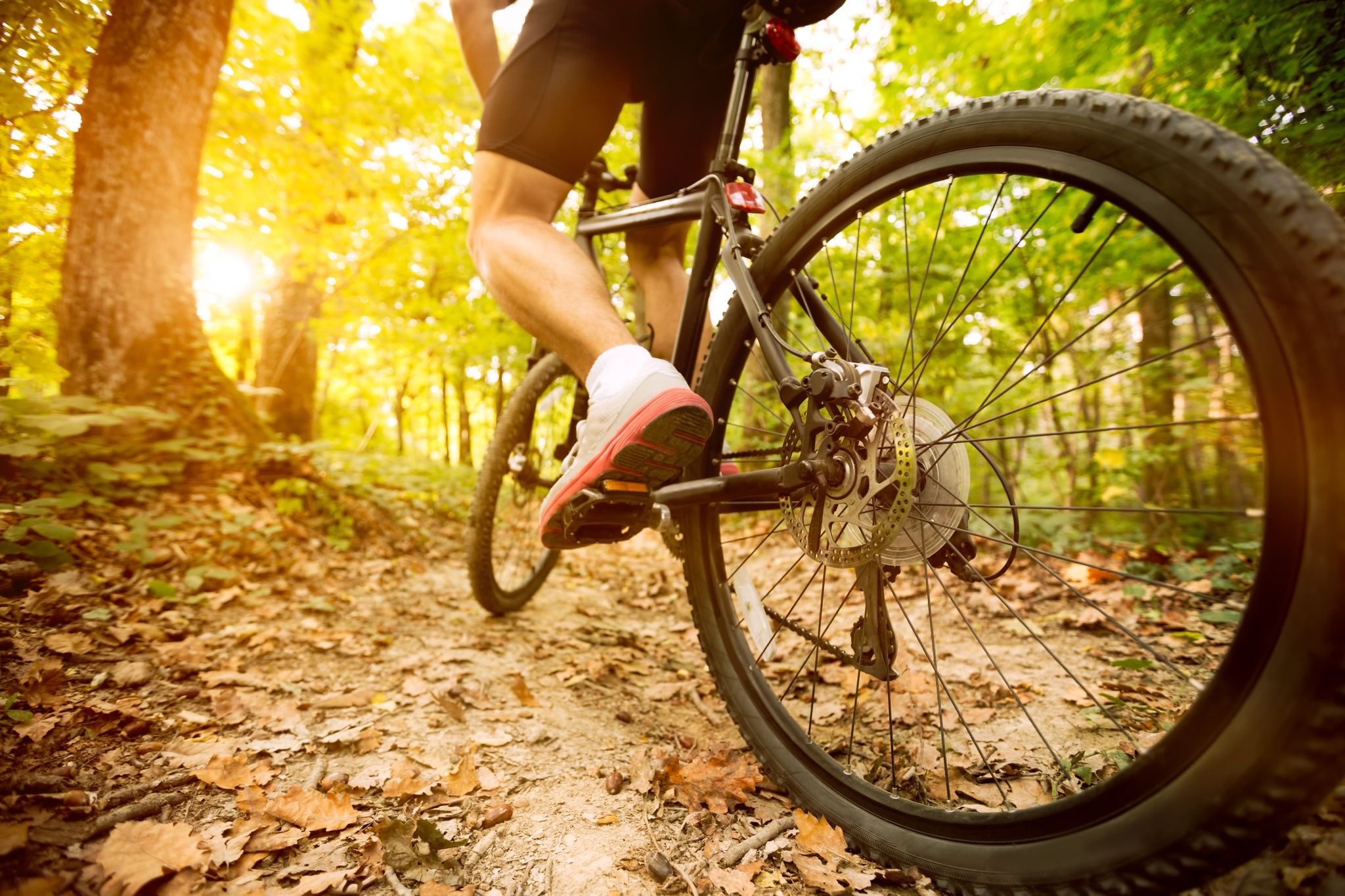 Point Exe | Exeter Student Accommodation | Collegiate AC